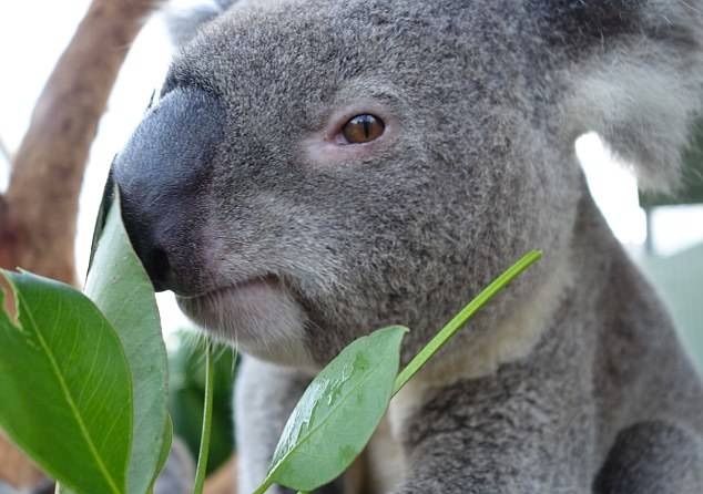 One Hundred Ways in which Santa and Random People are Judging You